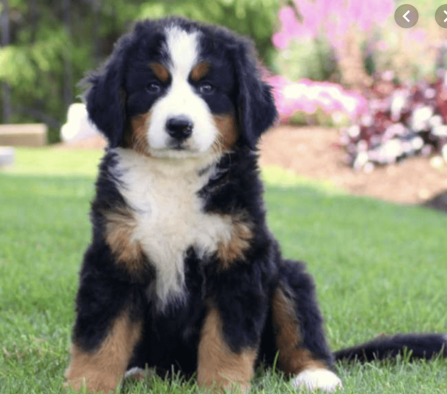 Berners - PB on Life